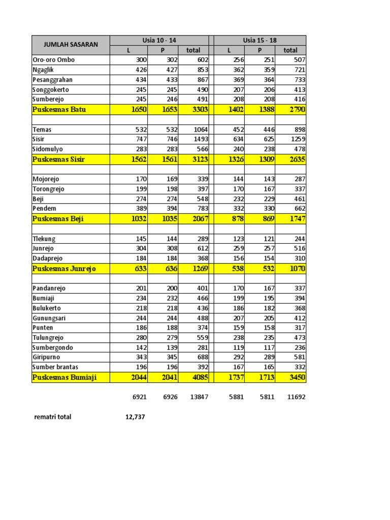 Data Sasaran Remaja 2022 | PDF