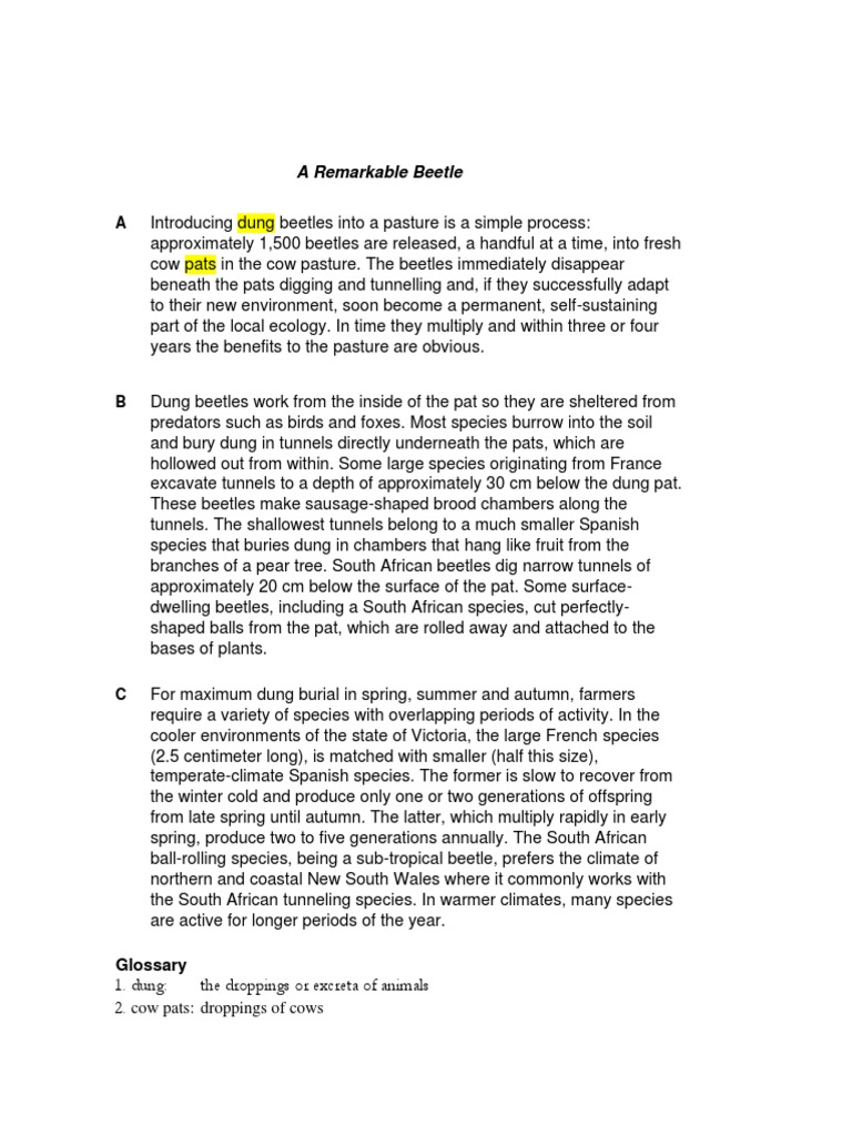 IB ENGLISH Reading Text (DAY 1) | PDF | Beetle