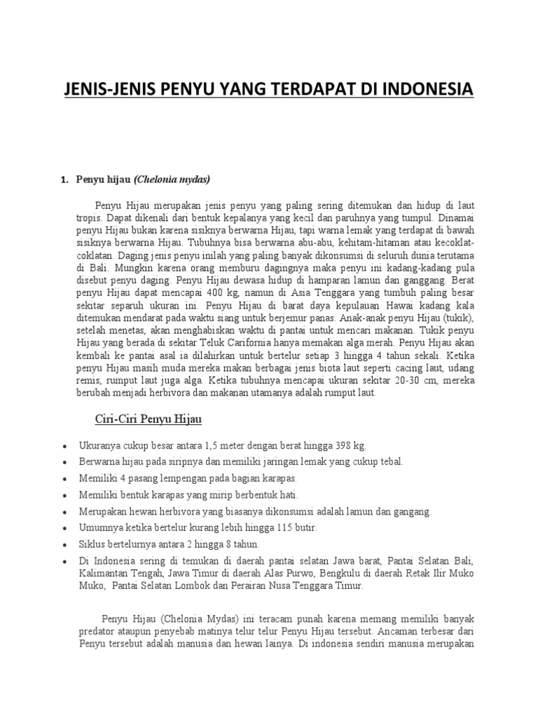 Jenis Penyu di Indonesia dan Ciri-Cirinya | PDF
