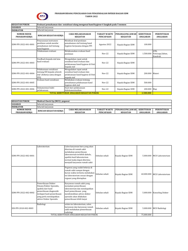 SDM Program Kerja Bidang PPI | PDF