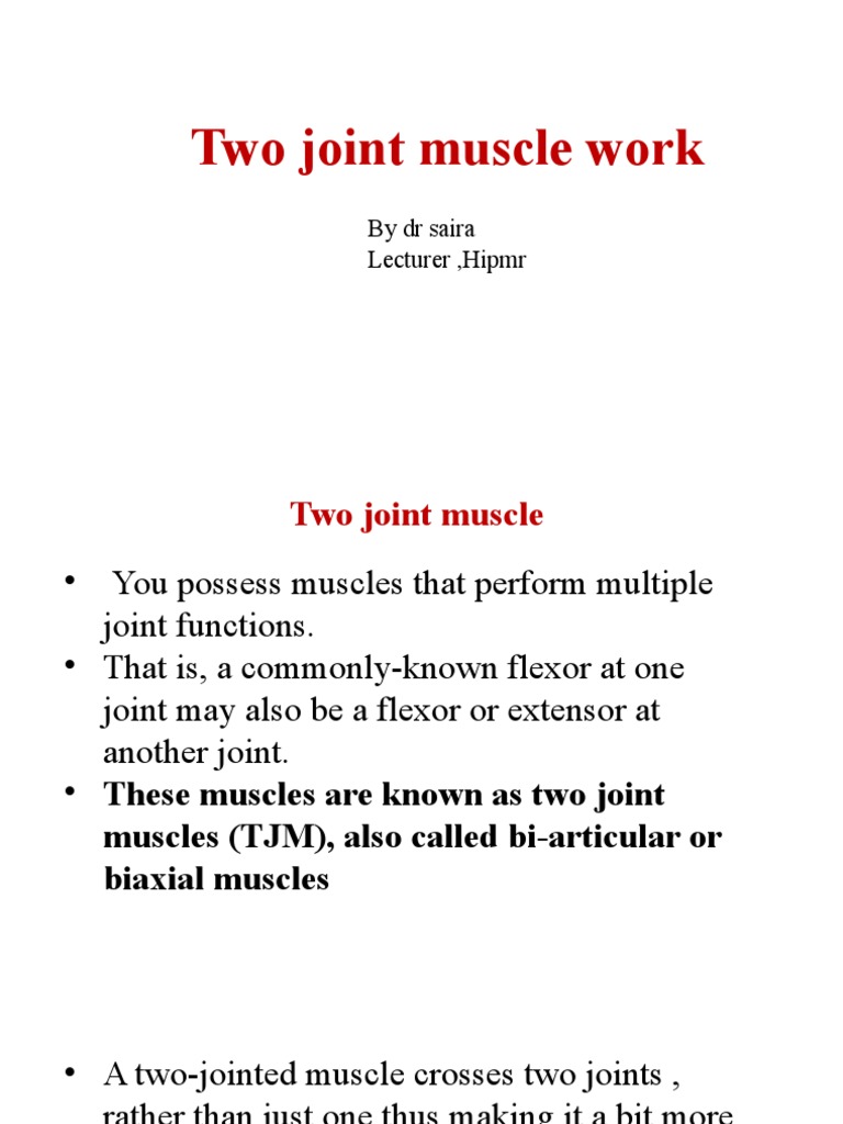 6-Lecture Two Joint Muscle Work | PDF | Anatomical Terms Of Motion ...