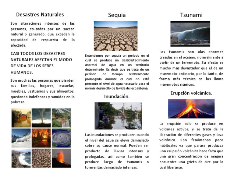 Desastres Naturales | PDF | Tsunami | Desastres naturales