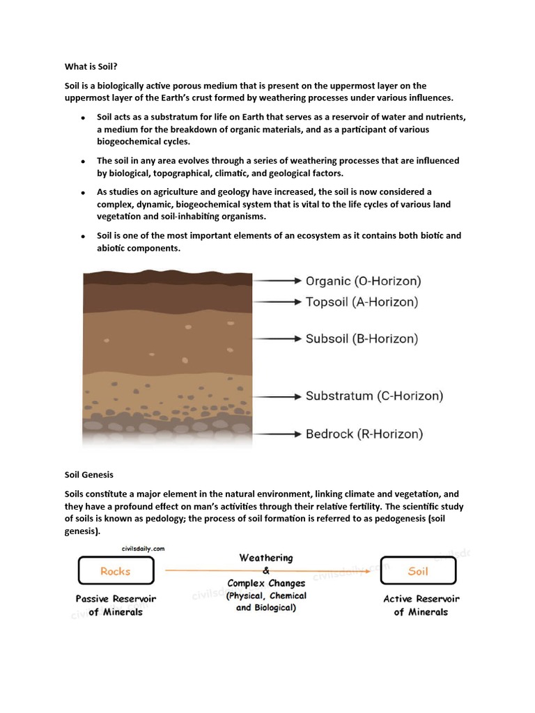 Exploring the Complex Process of Soil Genesis | PDF | Soil | Weathering
