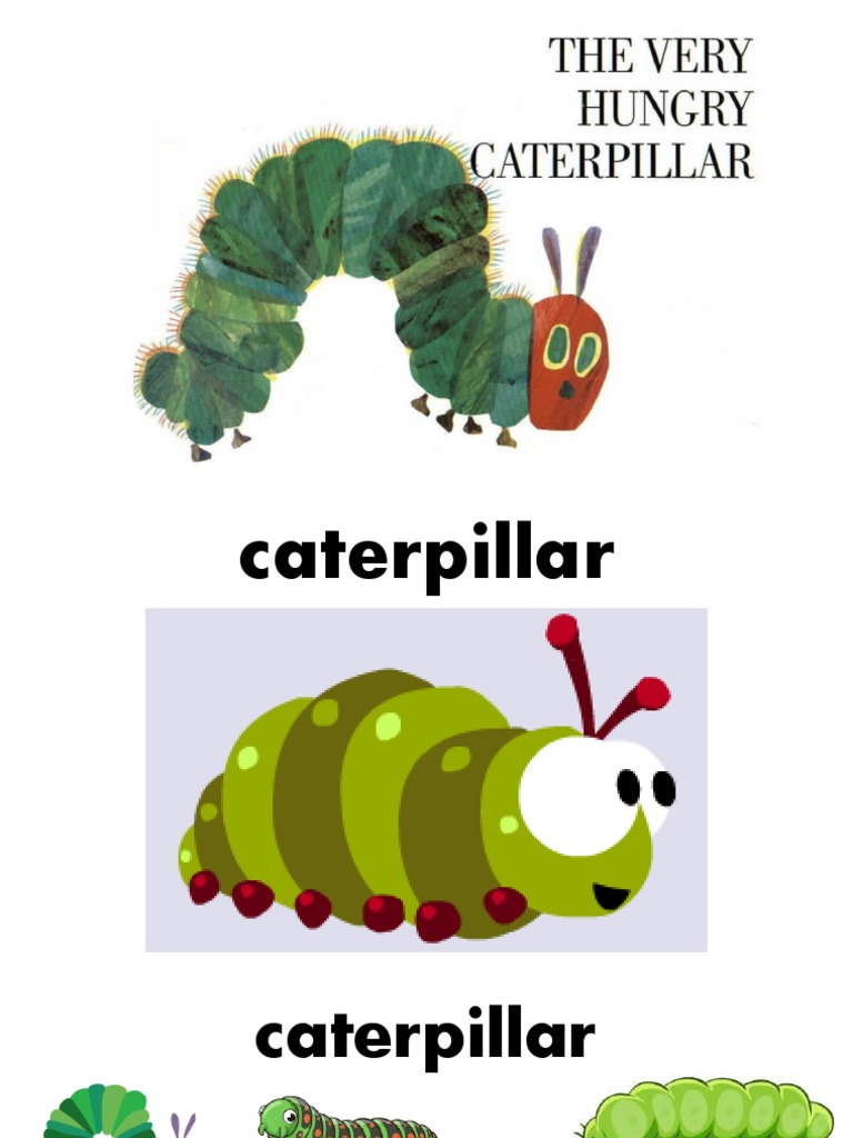 The Very Hungry Caterpillar - Winter Camp | PDF