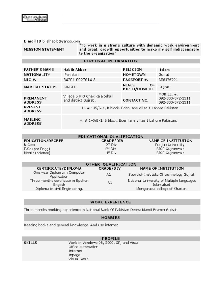 Bilal CV | PDF