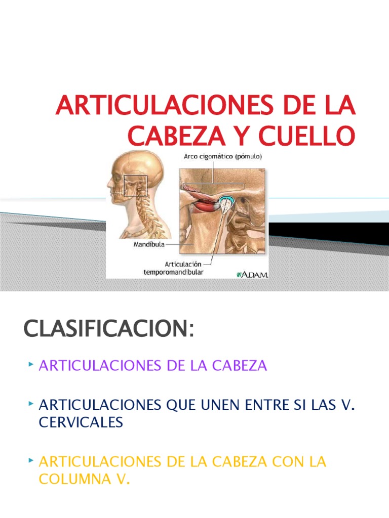 Articulaciones de La Cabeza y Cuello | PDF | Articulación | Anatomía