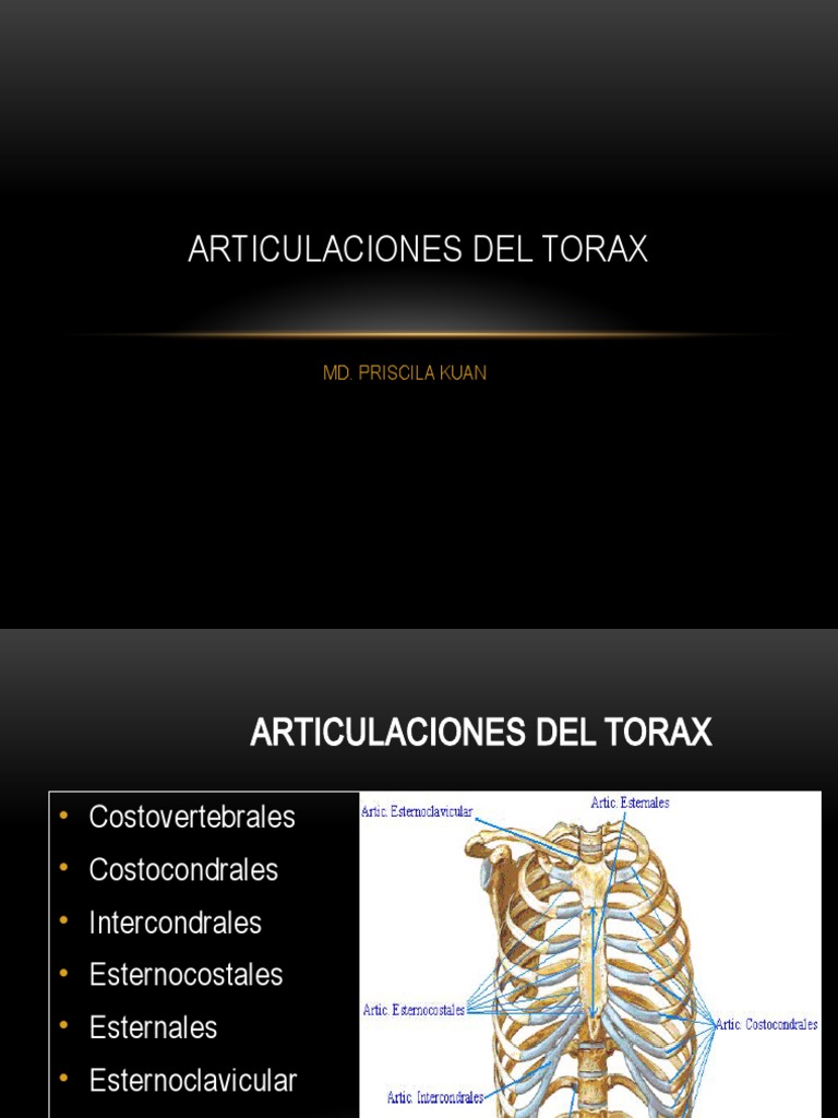 Articulaciones del Tórax: Tipos y Funciones | PDF | Tórax | Articulación