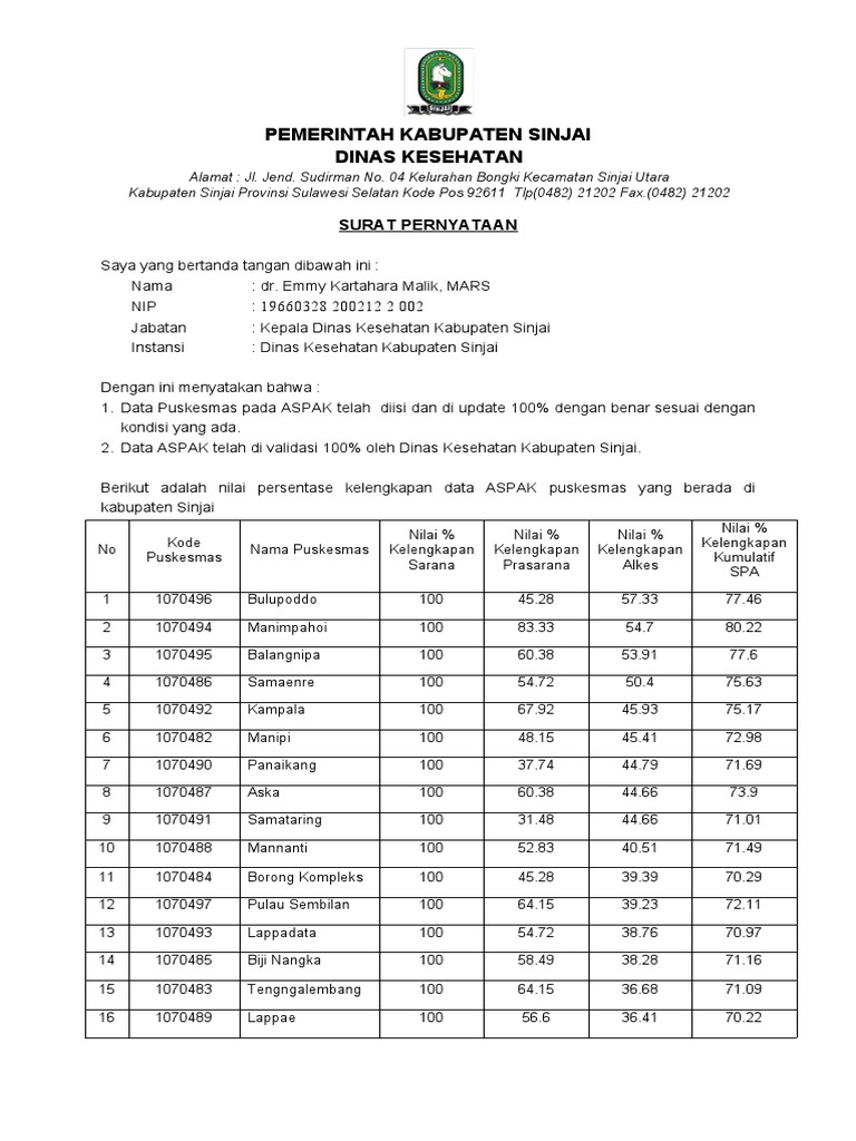 Validasi Data Puskesmas Sinjai | PDF