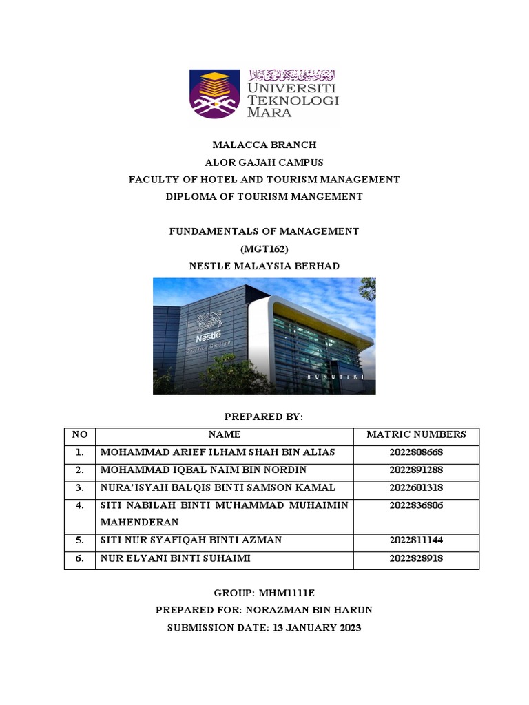 MGT Group Assignment | PDF