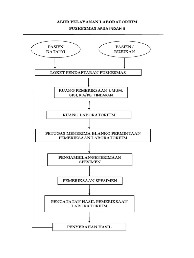 Alur Pelayanan Laboratorium | PDF