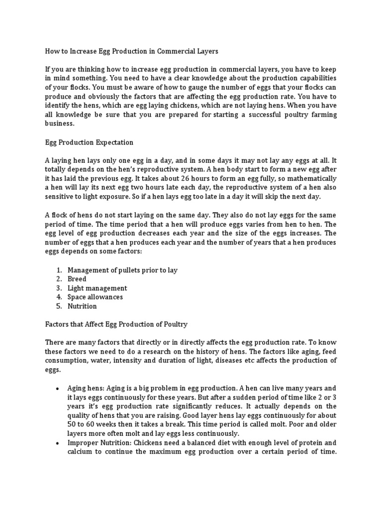 How To Increase Egg Production in Commercial Layers | PDF | Poultry ...