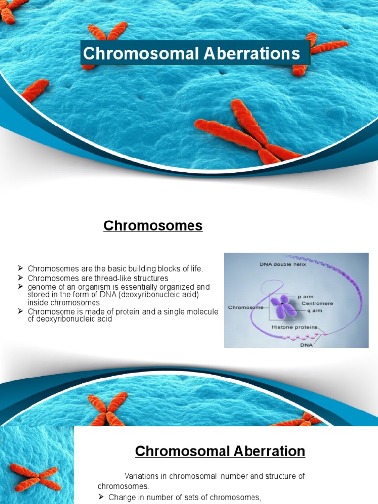 L1 - Chromosomal Aberrations | PDF | Chromosome | Meiosis