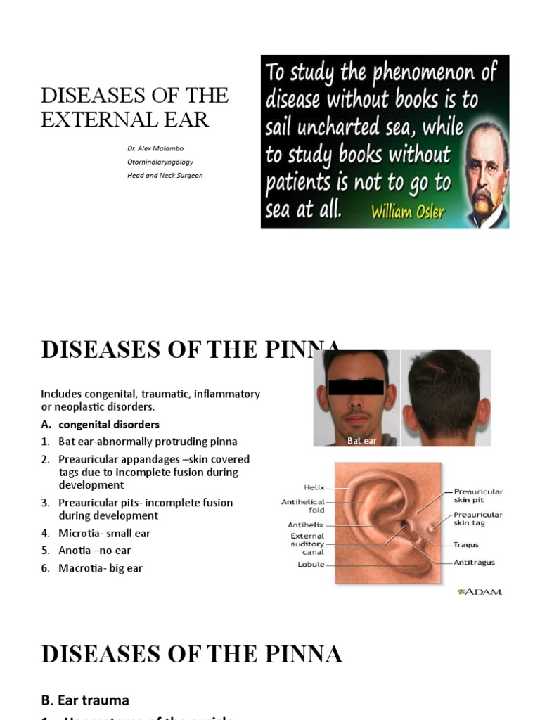 External Ear Diseases Overview | PDF | Ear | Diseases And Disorders