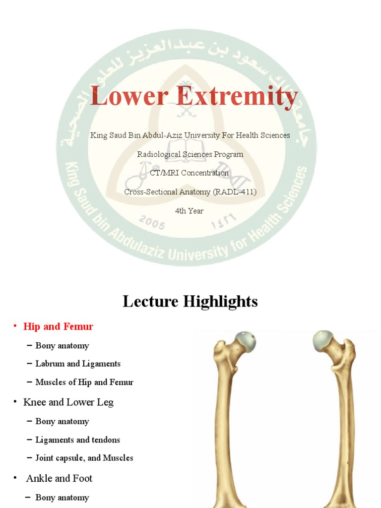 L - Lower Extremity (Bones and Joints) | PDF | Knee | Human Leg