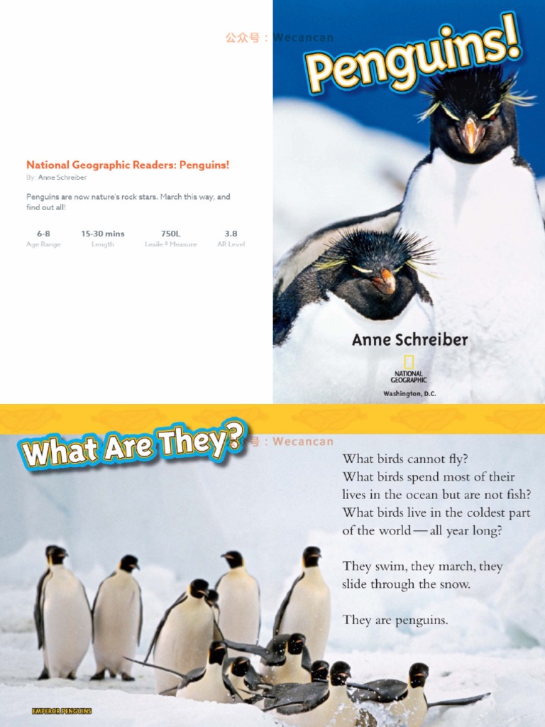 06 Penguins | PDF