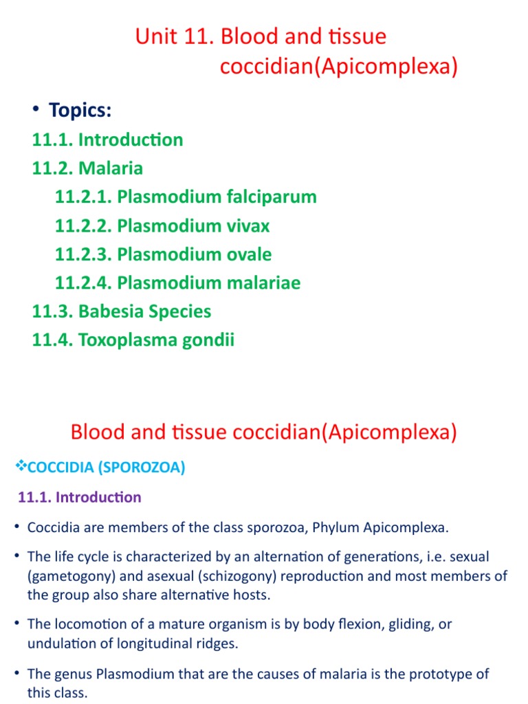 Unit 11. Blood and Tissue Coccidian (Apicomplexa) | PDF | Plasmodium ...