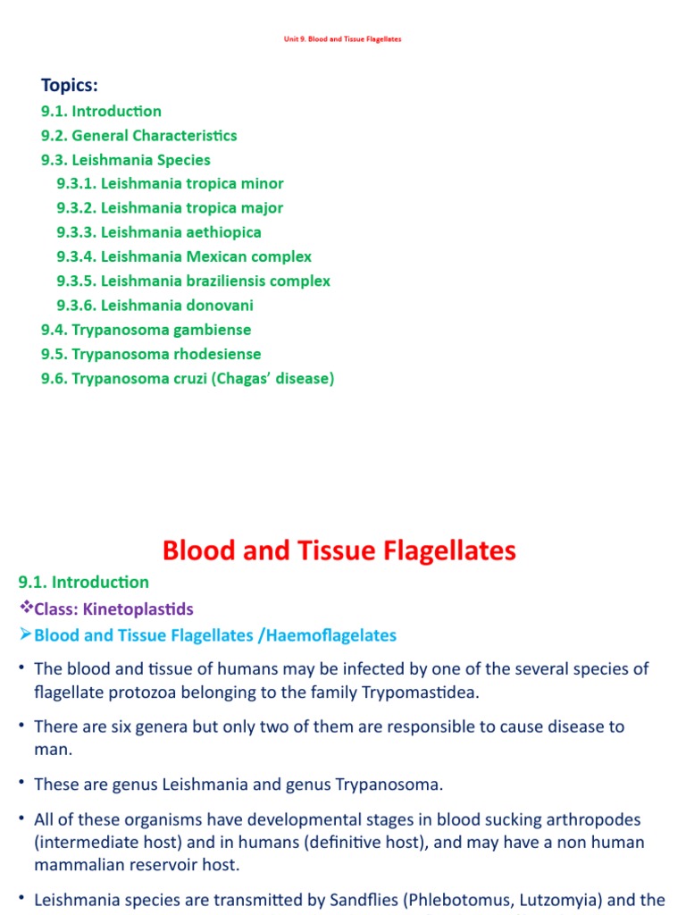 Unit 9.N. Blood and Tissue Flagellates | PDF | Leishmania | Epidemiology