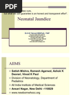 Neonatal Energy Triangle Part 1 | Hypoglycemia | Infants
