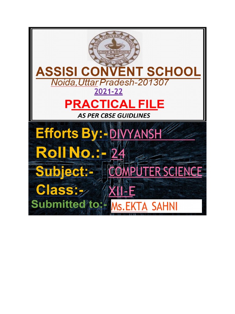 Computer Practicle File | PDF