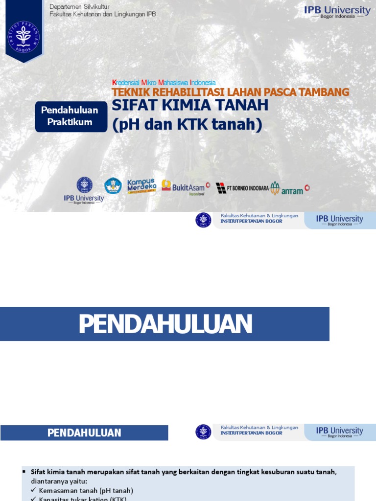 (P) SIFAT KIMIA TANAH - PH Dan KTK Tanah - DSVK - IPB - BAW | PDF