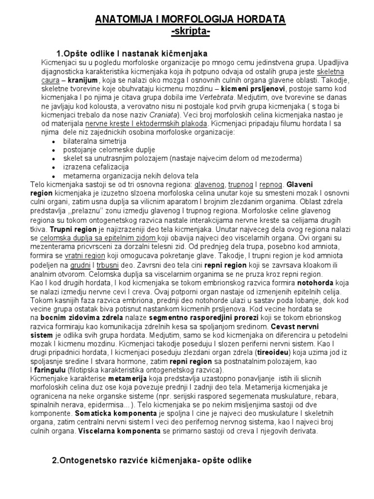 ANATOMIJA I MORFOLOGIJA HORDATA Skripta | PDF