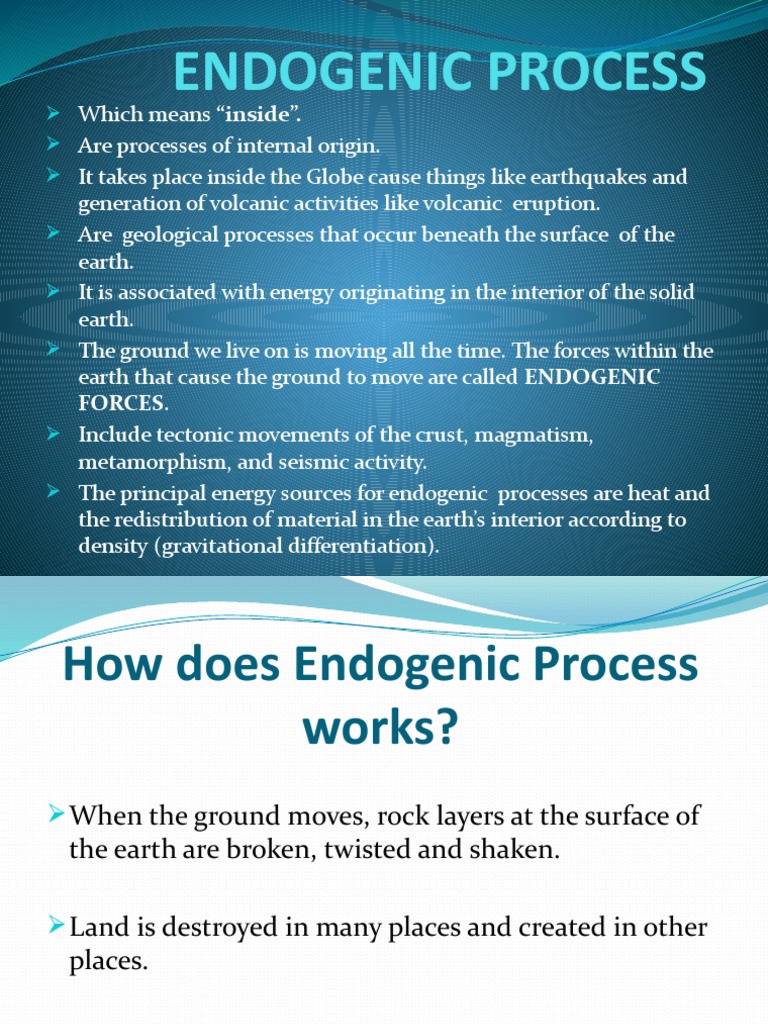 Geology: Understanding Endogenic Forces | PDF | Fault (Geology) | Volcanism