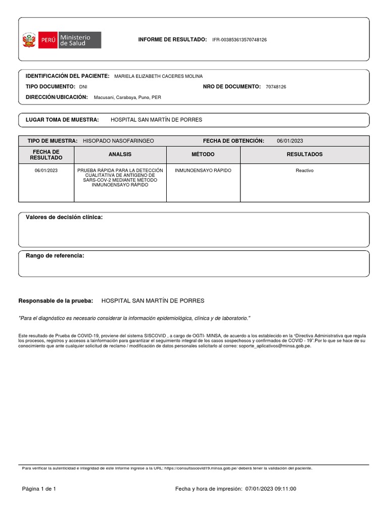 Informe de Resultado | PDF