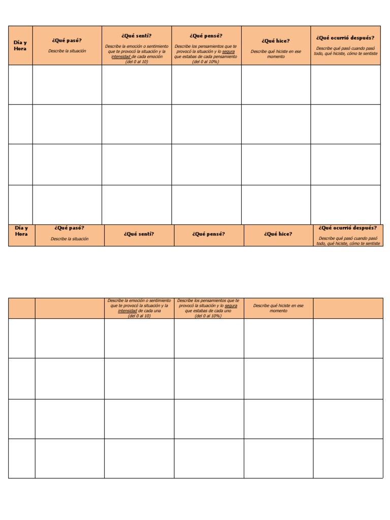 Registro de Conducta | PDF