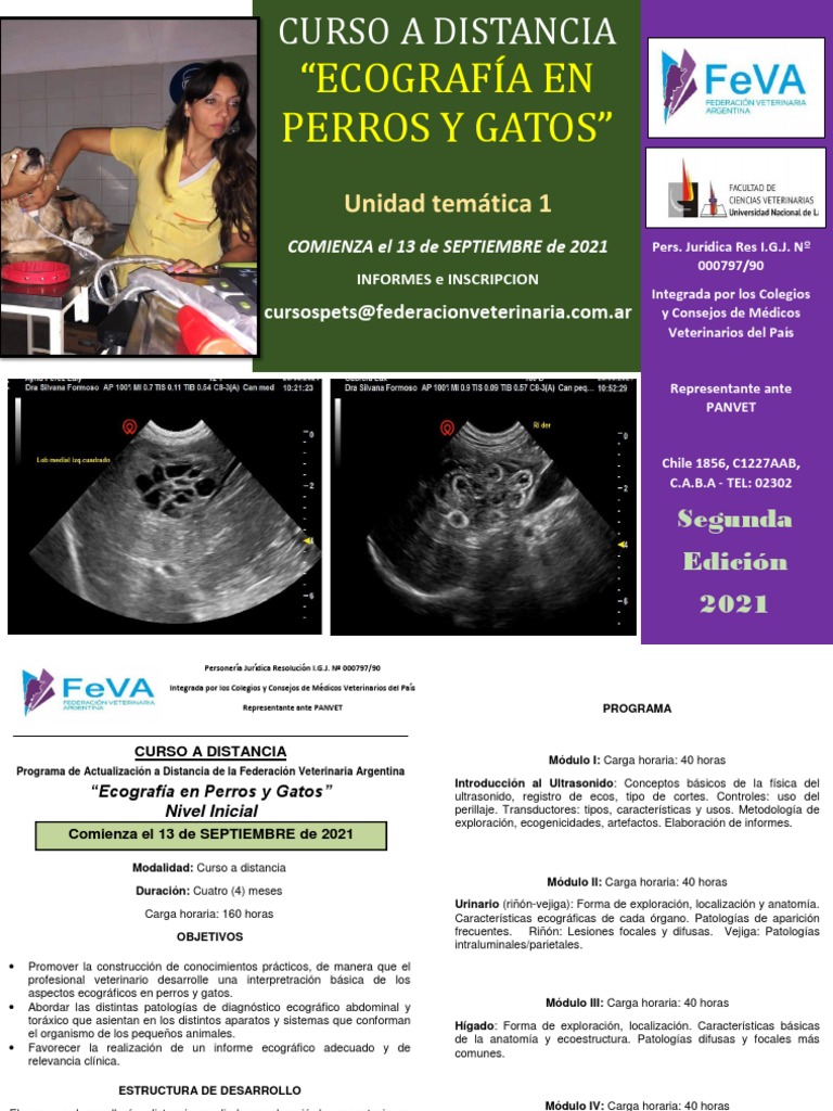 2021-08!10!112215.635868-Bcurso Ecografa en Perros y Gatos - Unidad ...