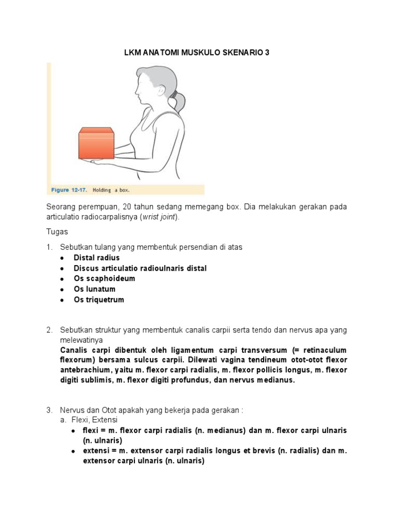 LKM Anatomi Muskulo Skenario 3 | PDF