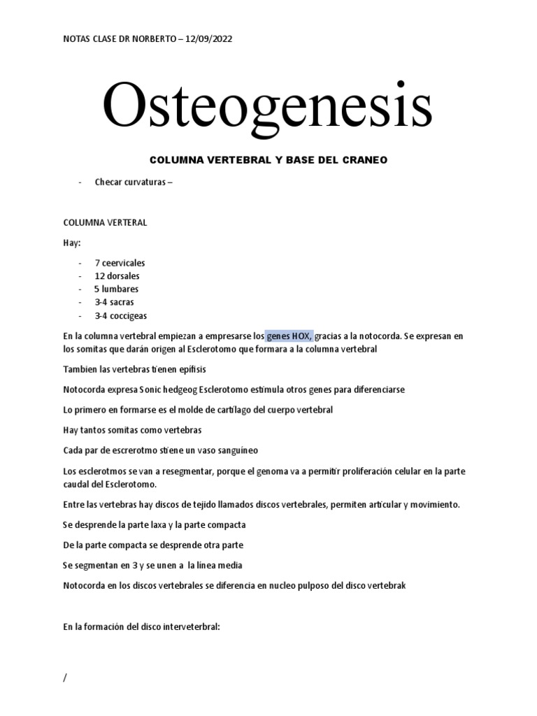 Osteogenesis | PDF | Vértebra | Anatomía