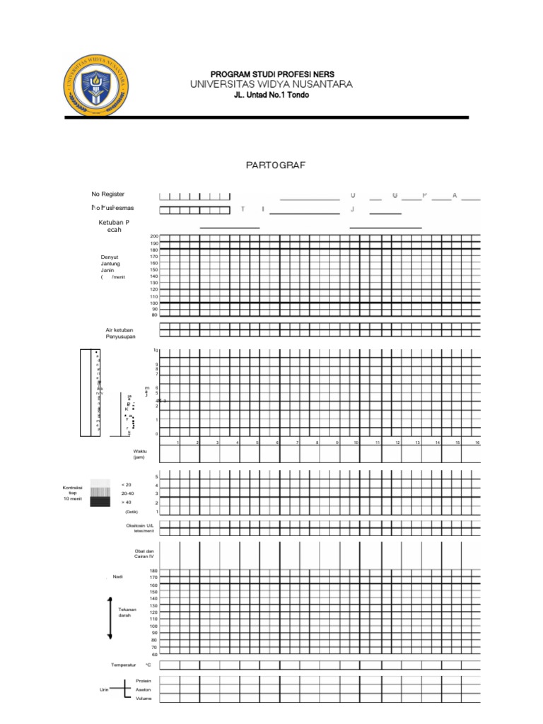 Bu Hadijah - Lembar Partograf - Maternitas | PDF