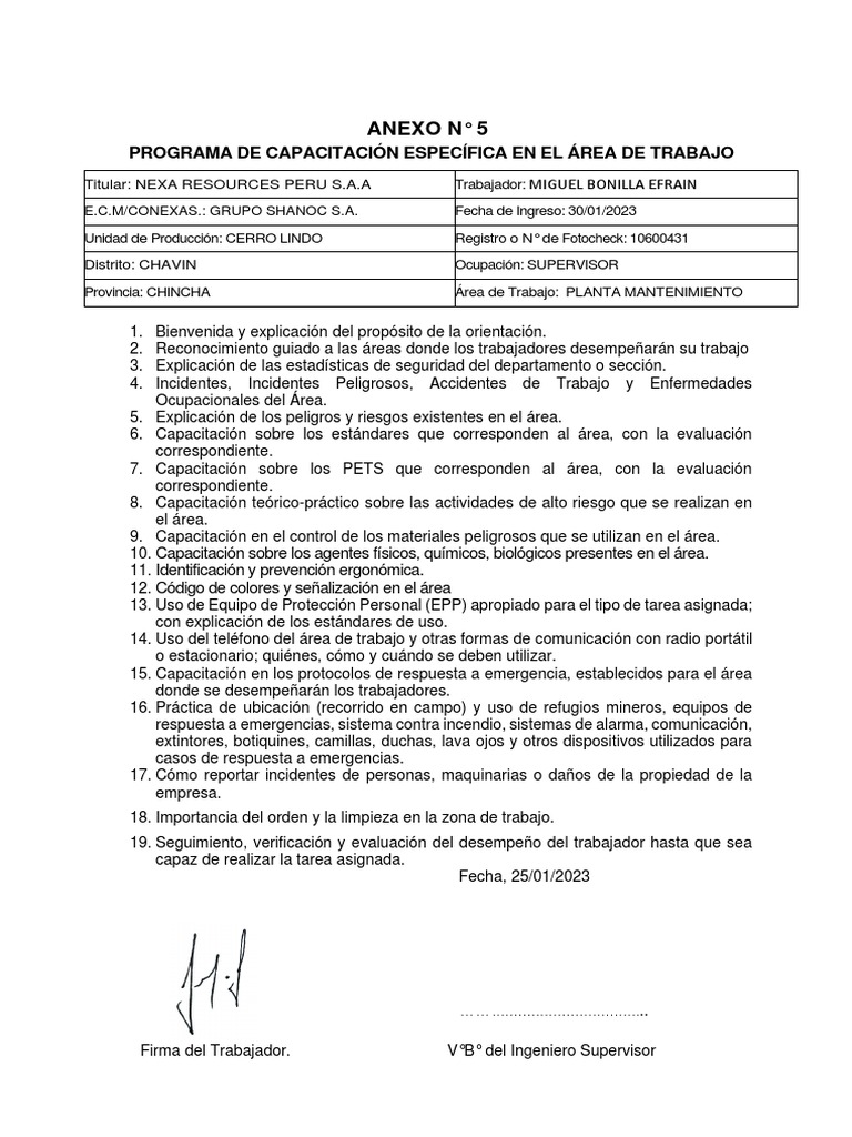 Formato Anexo 5 CL | PDF | La seguridad