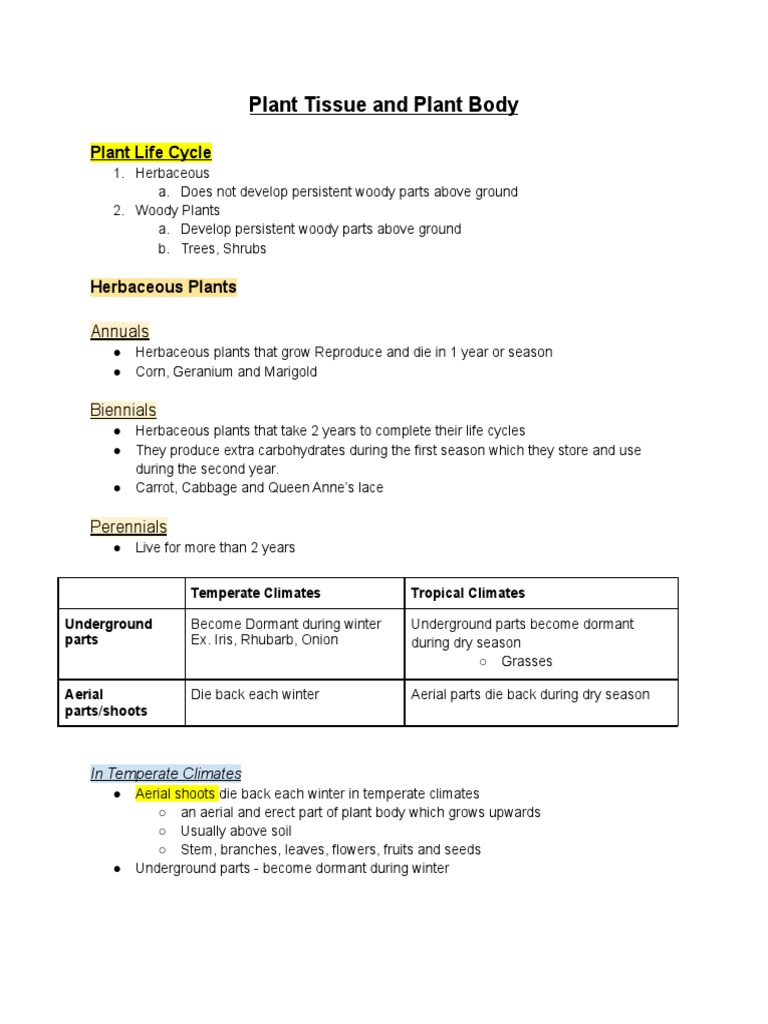 Lesson 4 - Plant Tissue | PDF | Tissue (Biology) | Root