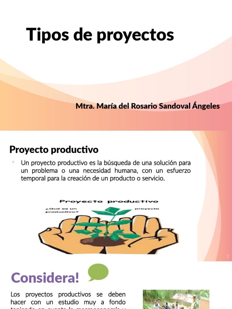 Tipos de Proyectos | PDF