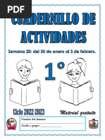 Saee 19 Registro de Personas Que Solicitan Acceso Al Expediente | PDF