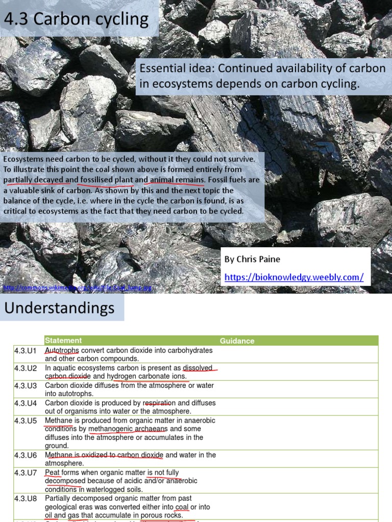 4.3. Carbon Cycling | PDF | Carbon Cycle | Carbon Dioxide