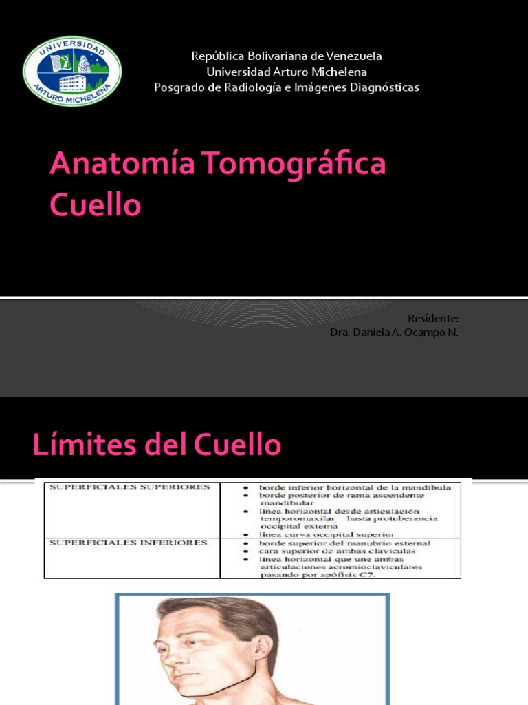 Espacios Del Cuello | PDF | Cabeza y cuello humanos | Anatomía