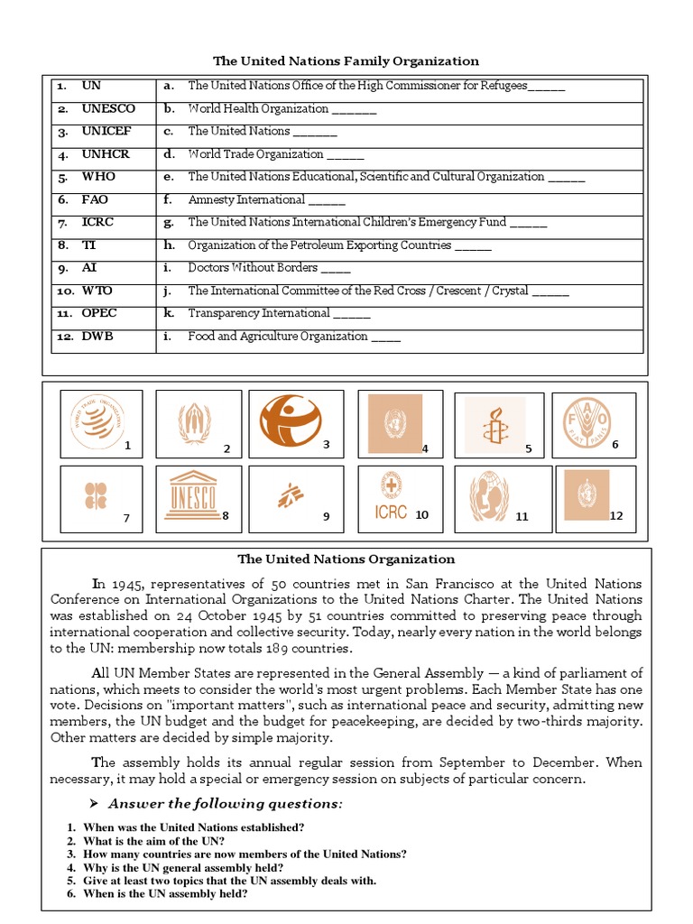 United Nations Overview and Quiz | PDF | United Nations | International ...