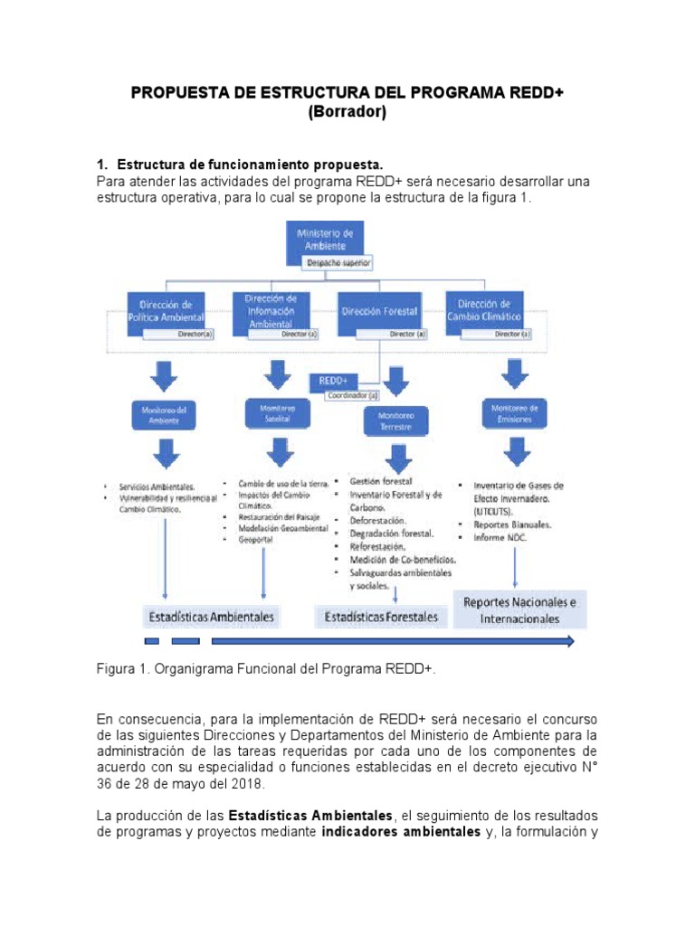 Propuesta de Estructura Del Programa Redd | PDF | Reducción de emisiones por deforestación y ...