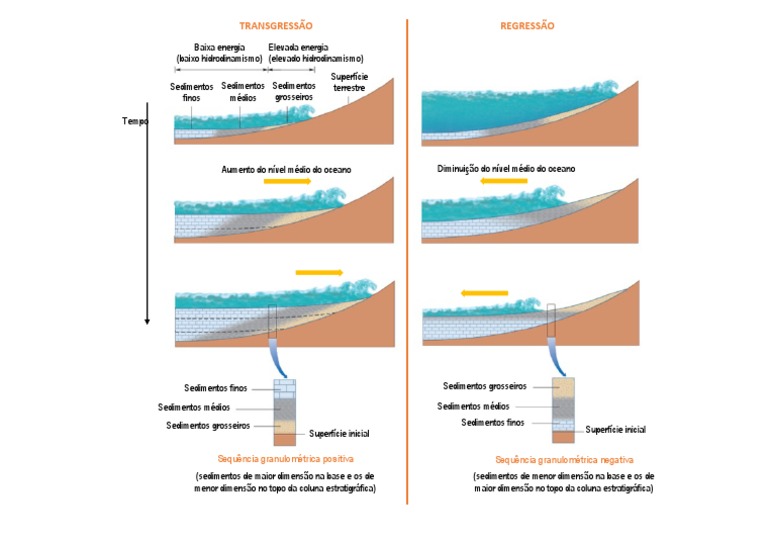 Transgressão e Regressão | PDF