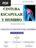 Fracturas de Escapula Slide | PDF | Hombro | Sistema musculoesquelético