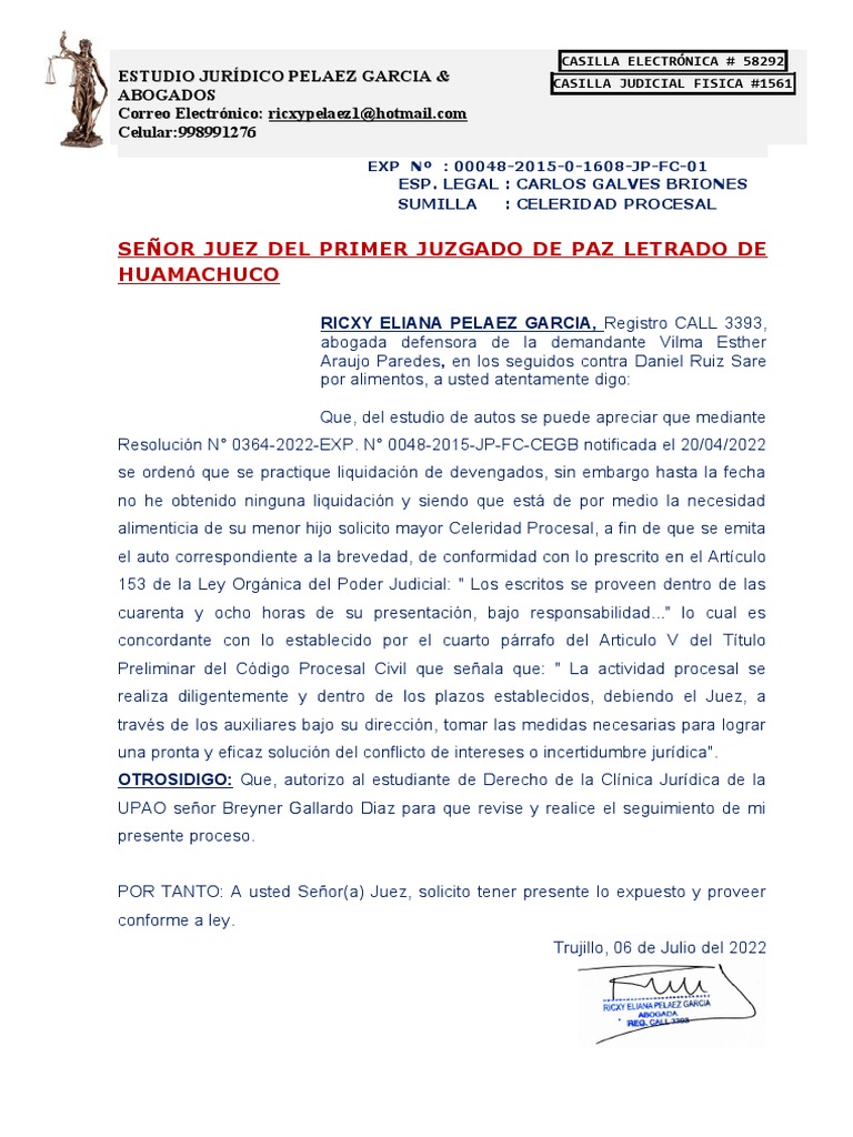 Escrito Celeridad Procesal | PDF