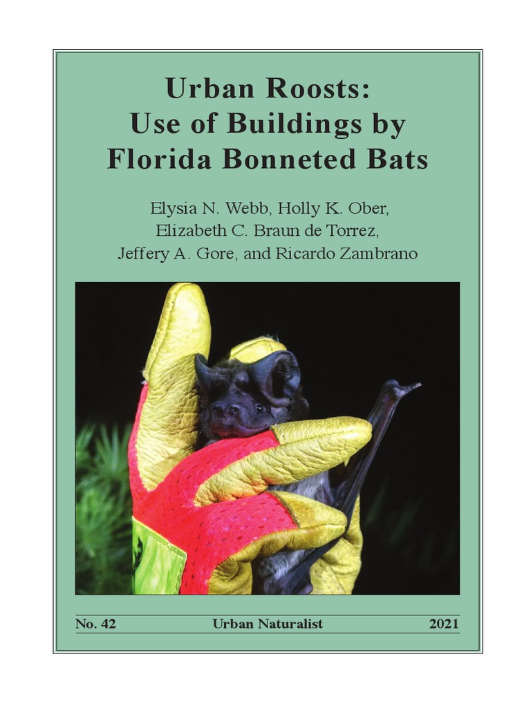 Urban Roost. Use of Buildings by Florida Bonneted Bats | PDF | Bat ...
