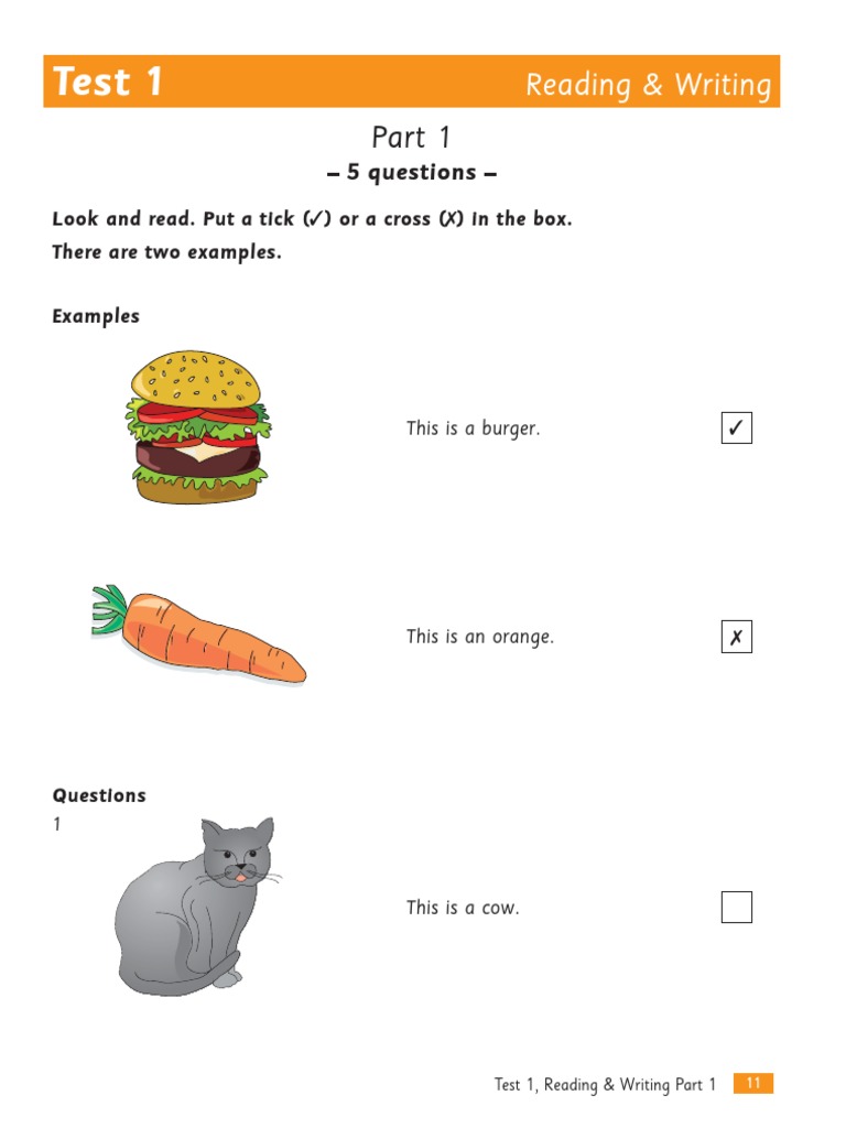 Practice Tests Plus Starters SB 1 | PDF