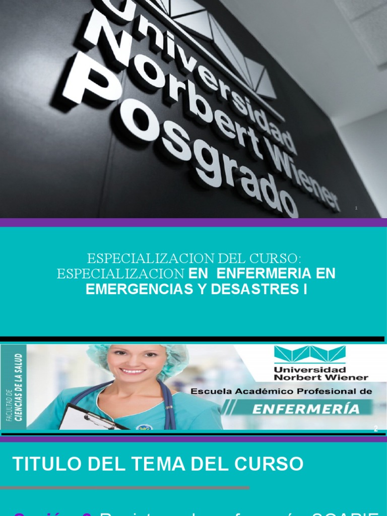 Soapie | PDF | Enfermería | Diagnostico medico