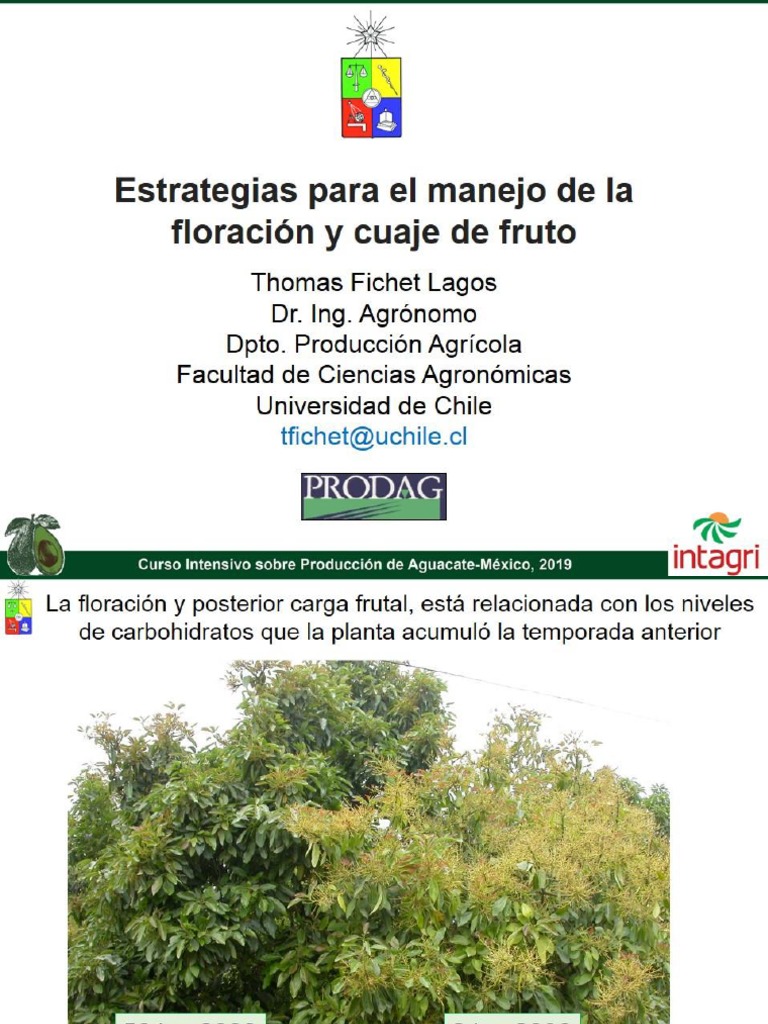 Estrategia para Floracion y Cuaje de Fruto (Fichet) | PDF