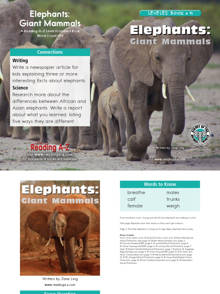Elephants Giant Mammals | PDF | Elephant | Mammals