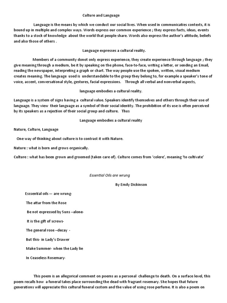 Language Embodies Cultural Reality: An Examination of the Intertwined Relationship Between ...