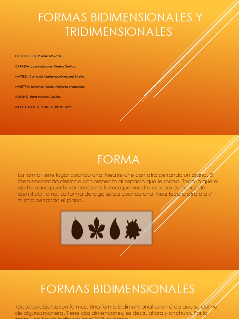 Formas 2D y 3D: Diferencias entre bidimensionales y tridimensionales ...